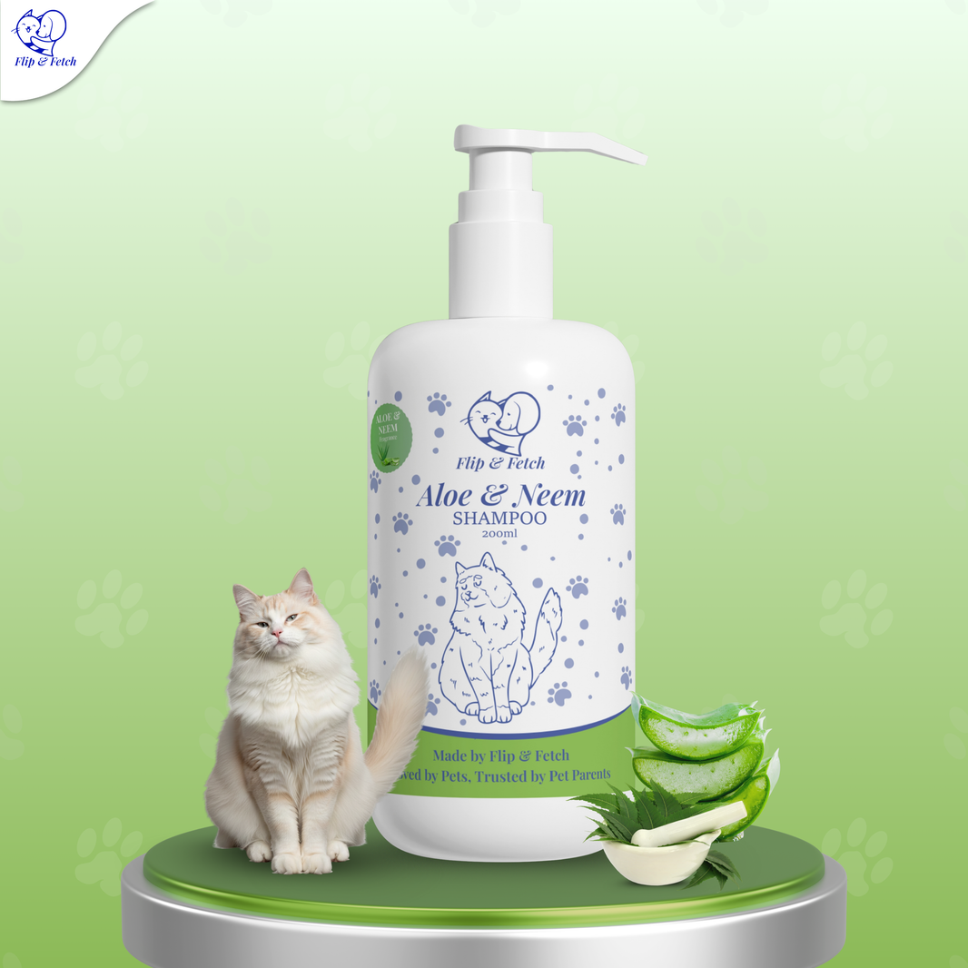 Shop For Cats – Flip & Fetch